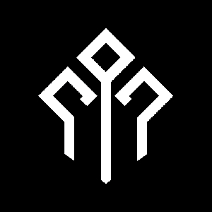 山东理工大学齐奇战队 