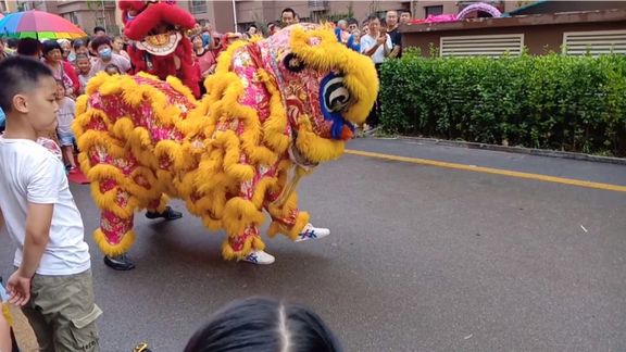 舞狮队来我们小区演出啦 吸引好多人 兔宝也去凑数