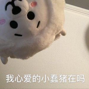 美丽大壮的日常 