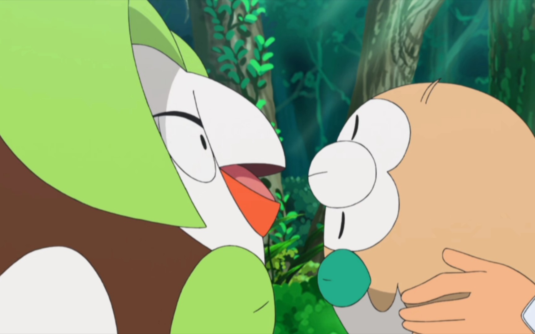 木木枭认识新朋友投羽枭