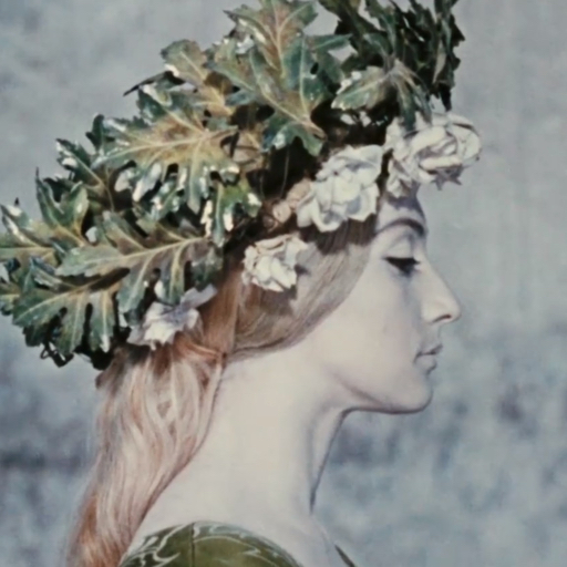 离正哈哈哈哈哈 