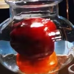 林林不想熬夜 