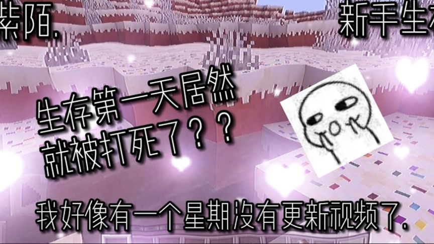我的世界:新手生存1.生存的第一天居然就被打死了ߍ�✨