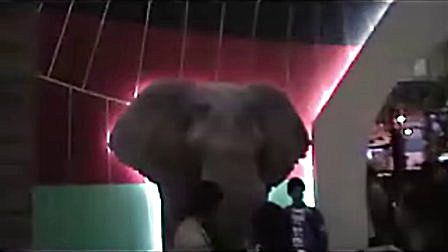 和牧马人一起中国2010年上海世界博览会