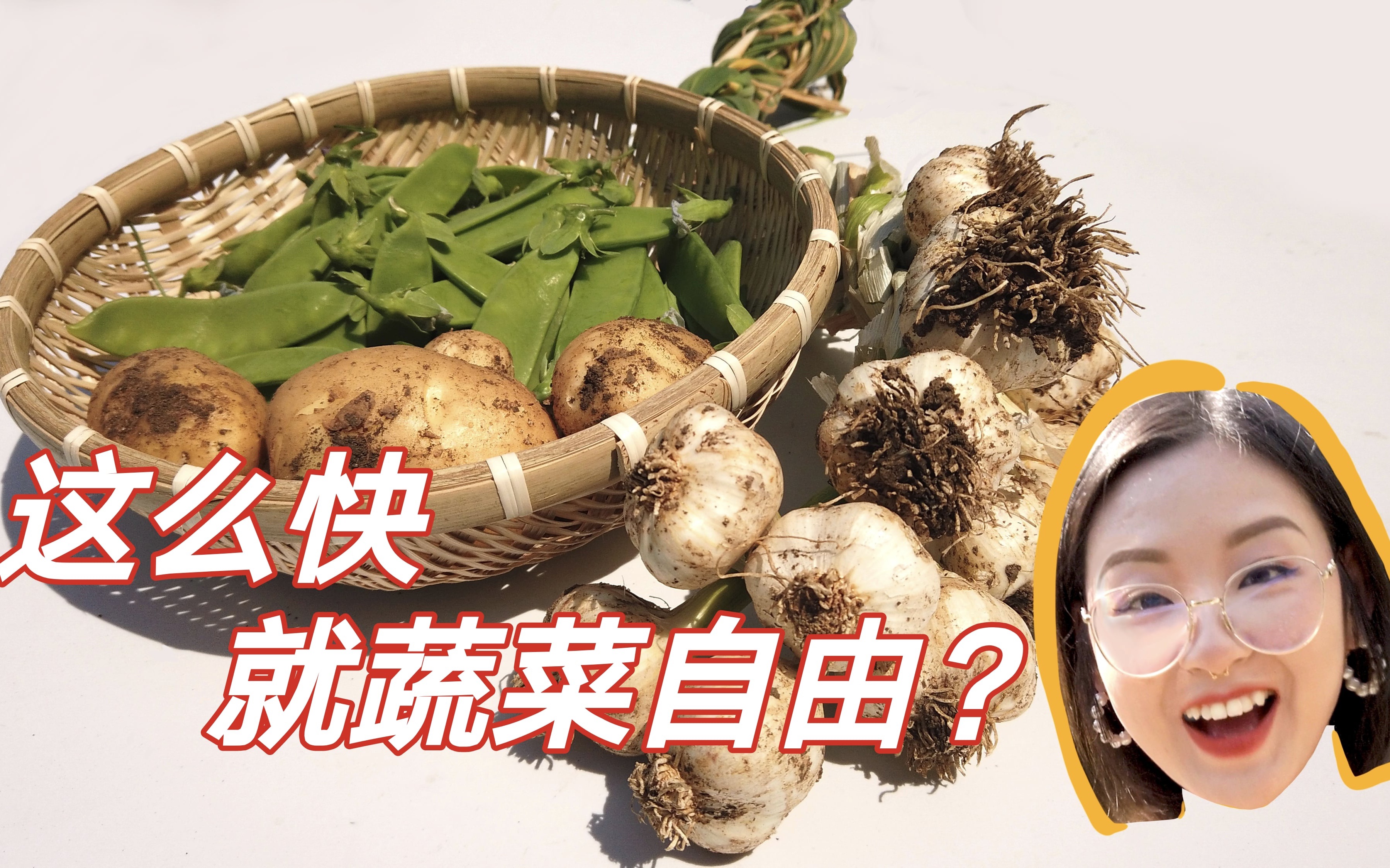 ...荷兰豆豌豆大蒜收获采摘啦,不交作业的UP不是好UP,还不快点进来看