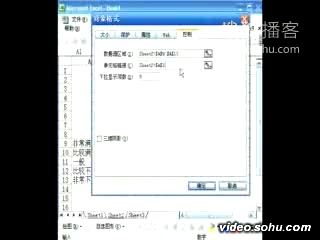 EXCEL单选题下拉菜单样式建立视频教程