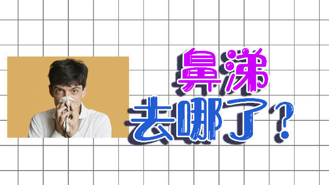 来不及擤出来的鼻涕都去哪了呢?