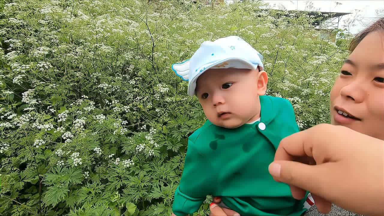 宝宝跨越2000公里,来到湖南老家看见了什么,直盯着看很稀奇一样