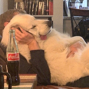 心态不好不如放弃 