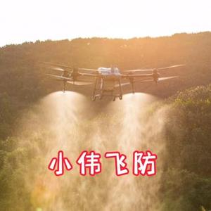小伟植保十年老飞手 