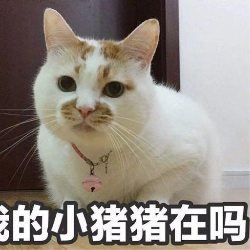 良师浪友-波 