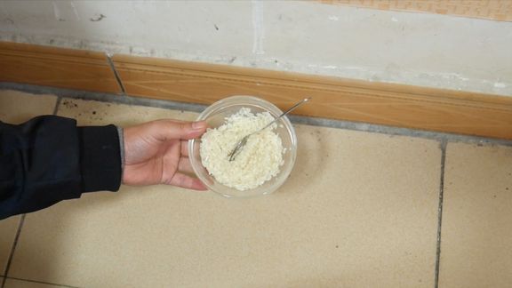 家里进老鼠了不要急,不放夹子不用药,老鼠来一只灭一只