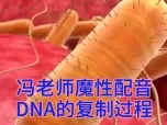 冯老师魔性配音高中生物:DNA的复制过程