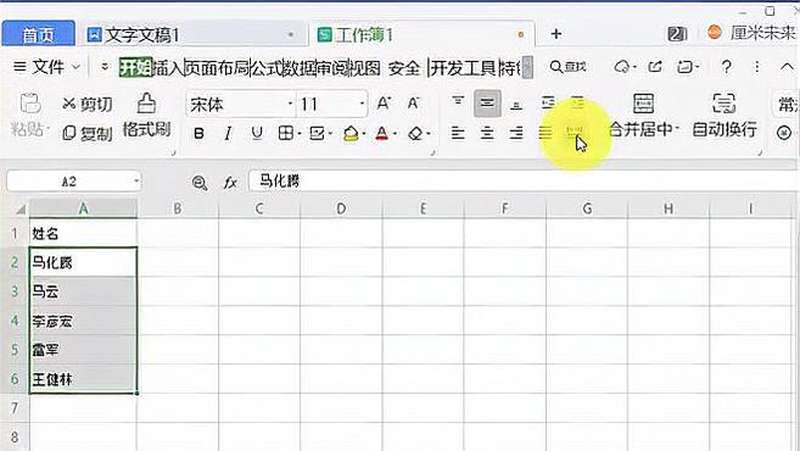 如何在WPS表格里面把名字对齐