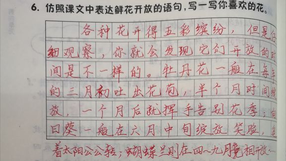 三下《花钟》,仿照课文中表达鲜花开放的语句,写一写你喜欢的花