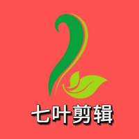 south七叶 