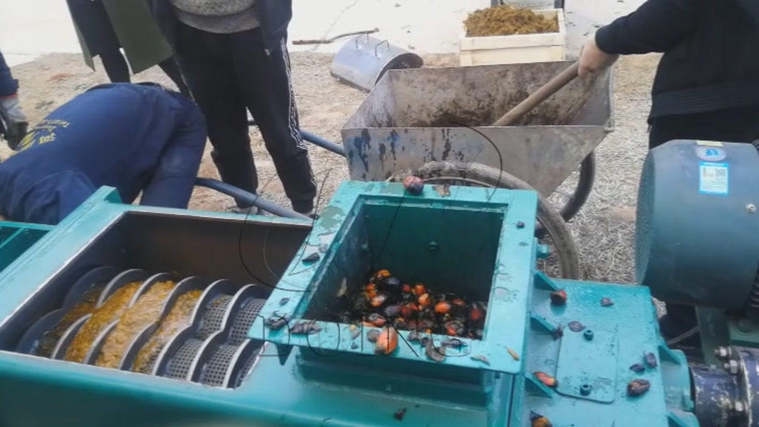 棕榈油榨油机运行试机视频