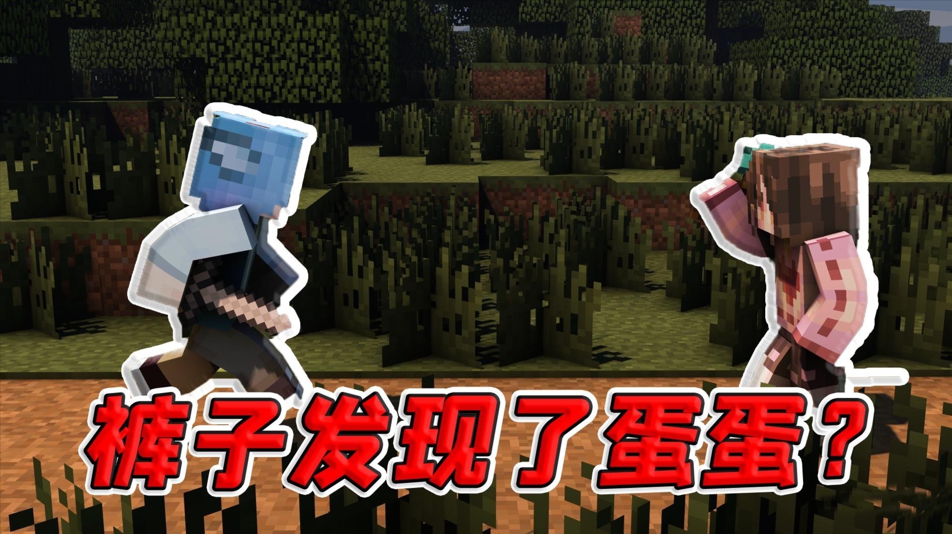 我的世界:裤子在家附近发现怪人!会是蛋蛋来了森林吗?