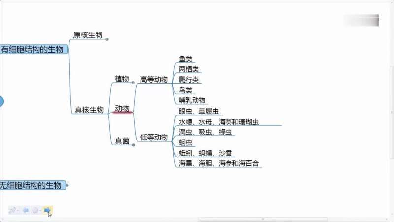 生物的分类(思维导图)