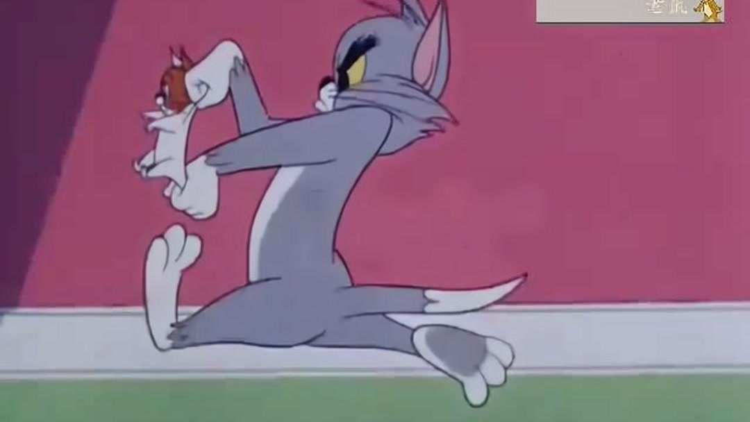 猫和老鼠:汤姆跟杰瑞竟然因为一只小猫咪而斗争起来了