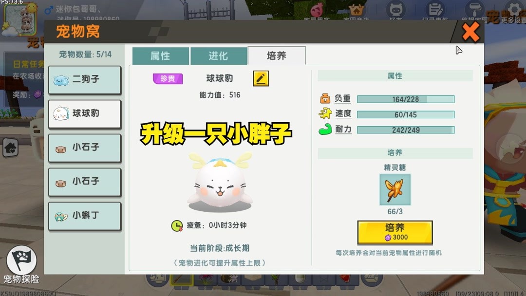 迷你世界:家园宠物升级探险