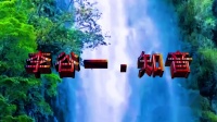 经典歌曲---李谷一 - 知音--(电影 知音)珍藏版--蓝光(1080p)--视频操作:...