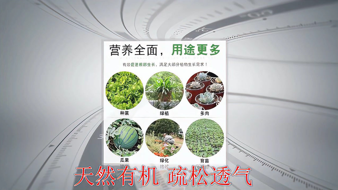 水稻基质育秧有啥好处
