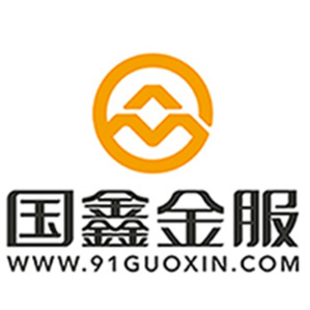 国鑫金服 