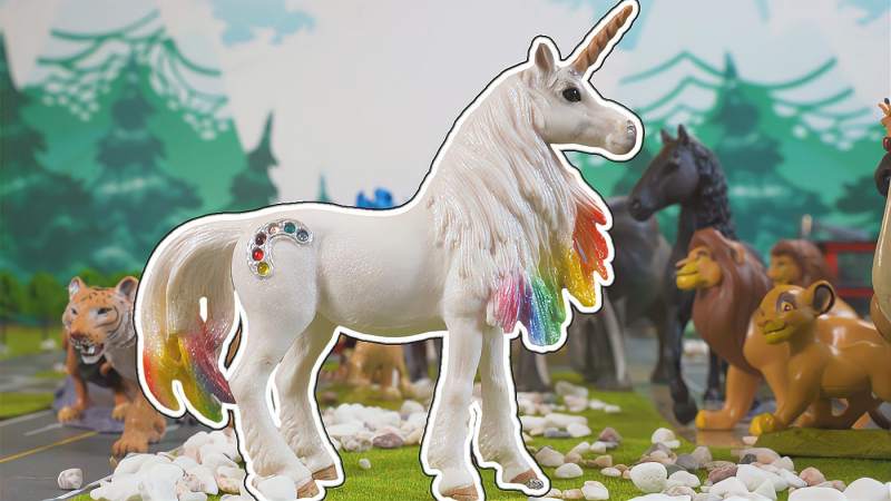 森林动物园开会了!快来一起看看谁才是动物园里最好看的动物呢?