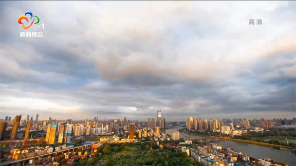 专家在汉分享建筑信息模型技术成果