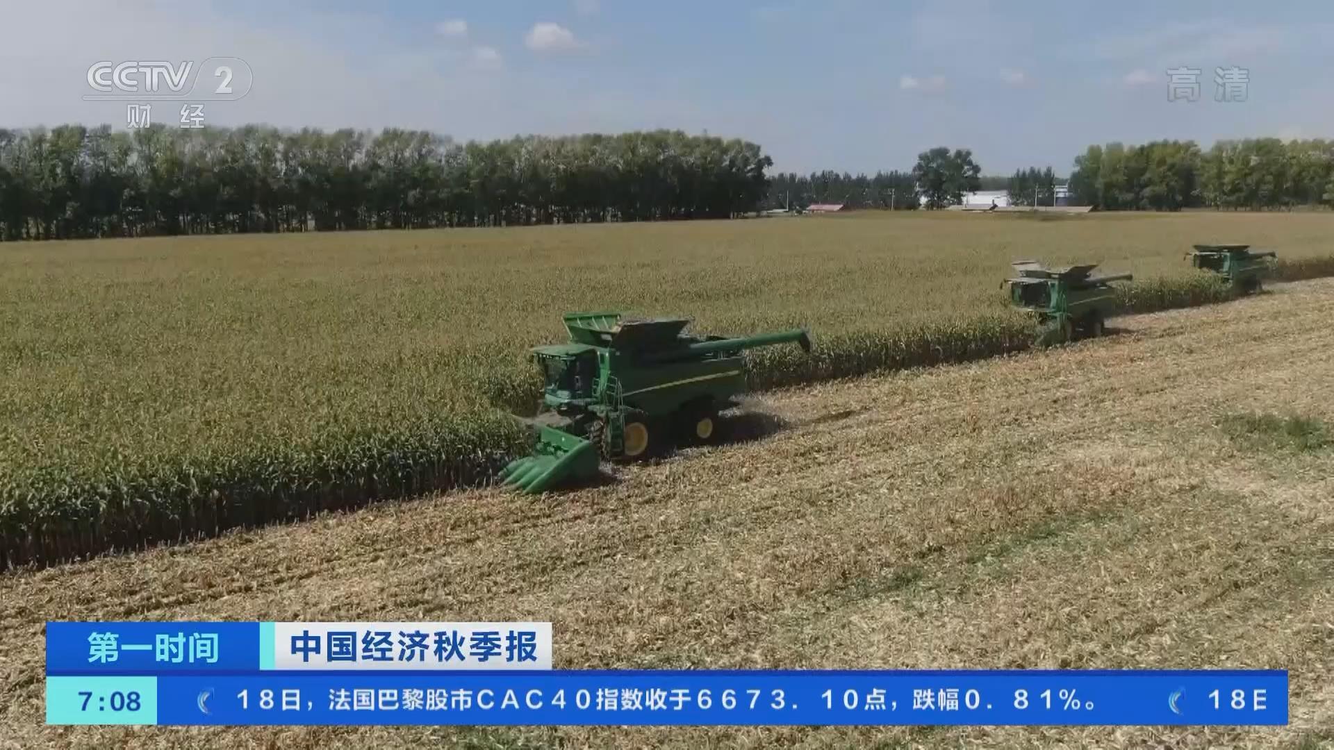 粮食丰!夏粮和早稻实现双增产 前三季度农林牧渔业增加值同比增长7.4%