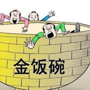 我要进体制内 
