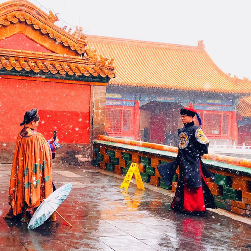 唐白羊 