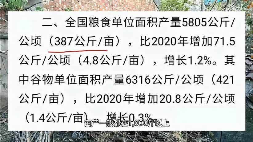 三农知识,粮食安全有数据支撑,面积 亩产可对照