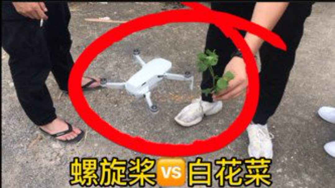 花1个月工资买的无人机:用螺旋桨割白花菜!网友:只有土豪敢这样玩