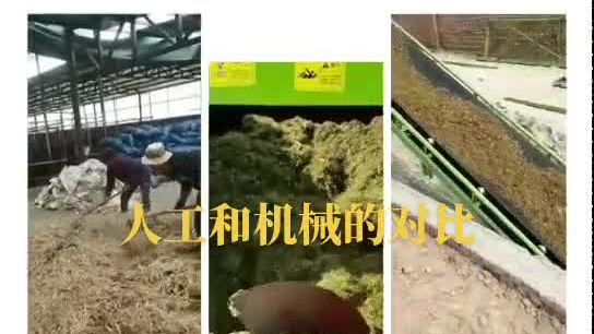 大家看一看传统养殖和机械化养殖的对比#抖音小助手 #牛羊养殖
