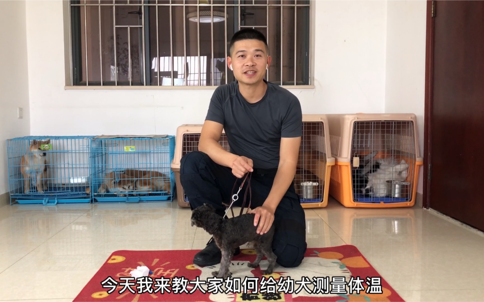 如何给家里狗狗测量体温