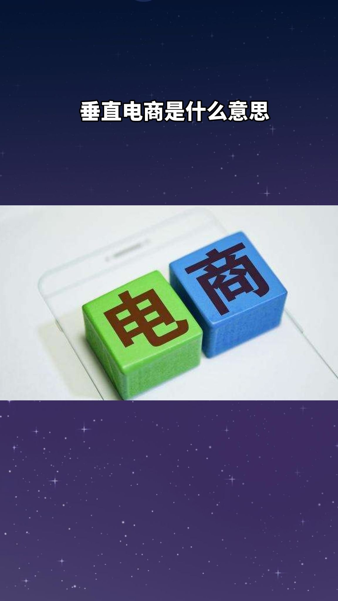 垂直电商是什么意思