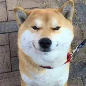 忏叶天 