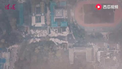 两分钟带你领略武汉大学樱花之美