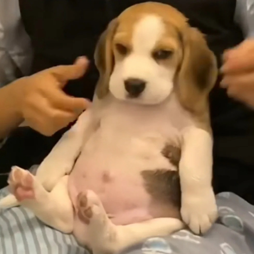 我现在非常卡钳 