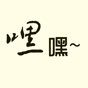 盲目的苦行僧S 