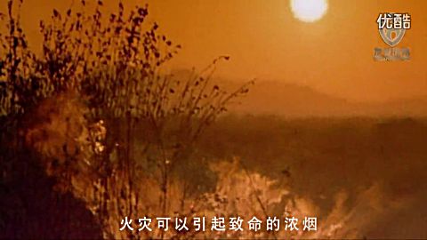 消防过滤式自救呼吸器(中文)