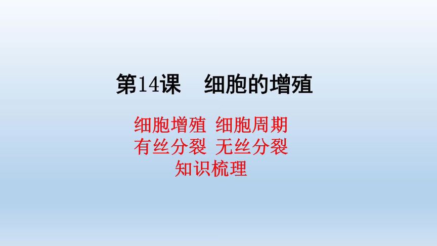 小梦讲生物细胞的增殖知识梳理