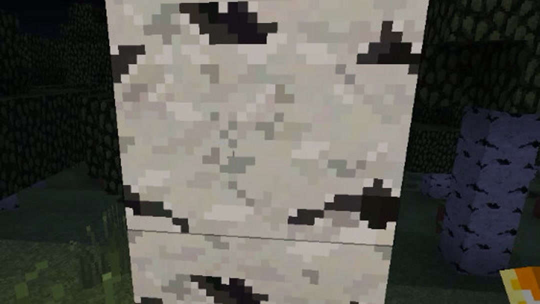 我的世界 唱歌喝酒白桦林