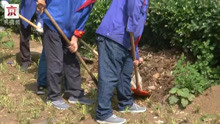 天宫院城管执法队:绿地种菜 发现一处治理一处