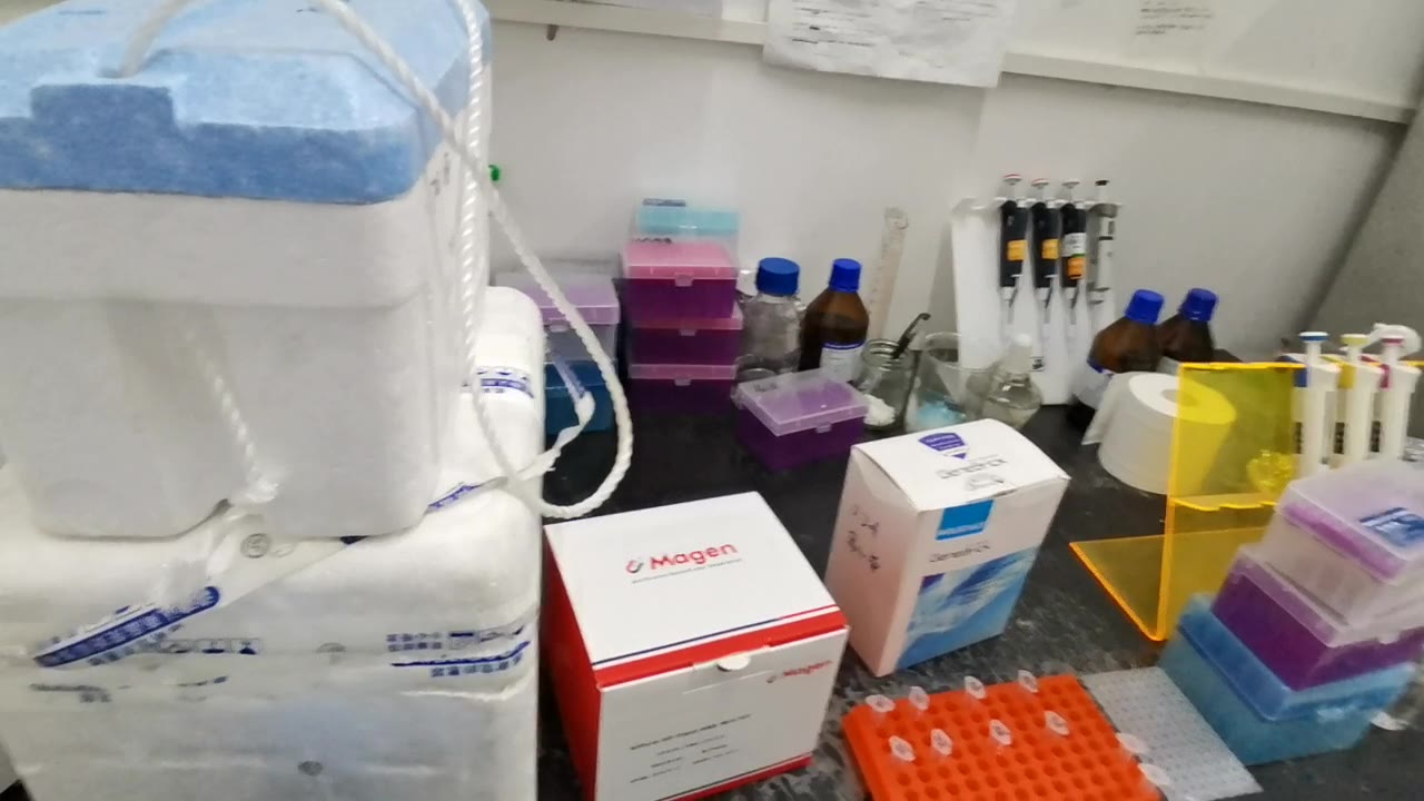 试剂盒提取RNA-实操-②试剂耗材检查