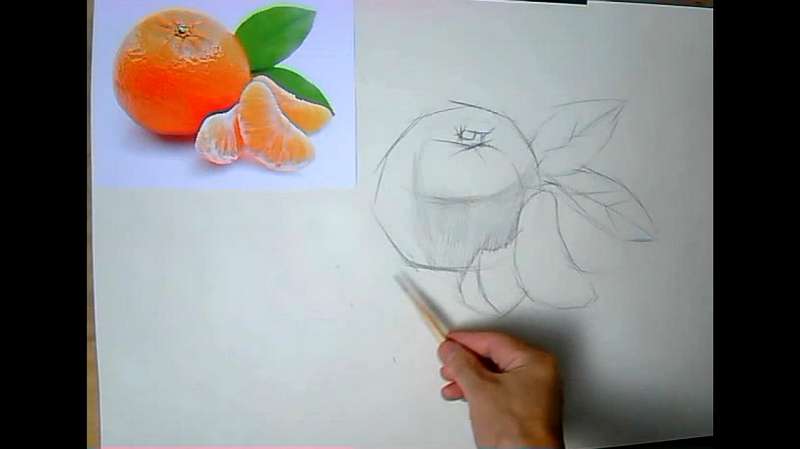 素描初学者入门,这个教程必看!各种技巧法教学,一步一步教会你