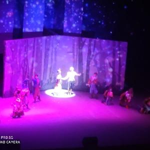 菩提树结菩提果 