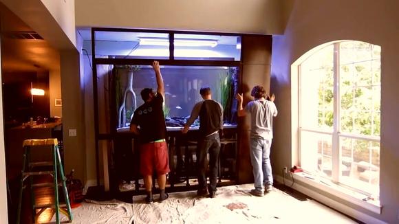 超大型家居墙面嵌入式水族箱创建